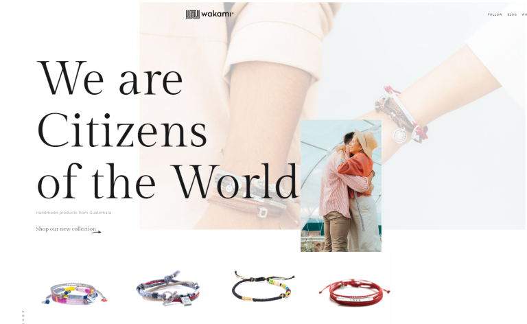 30+ Great WordPress Website Examples | HOI Solutions